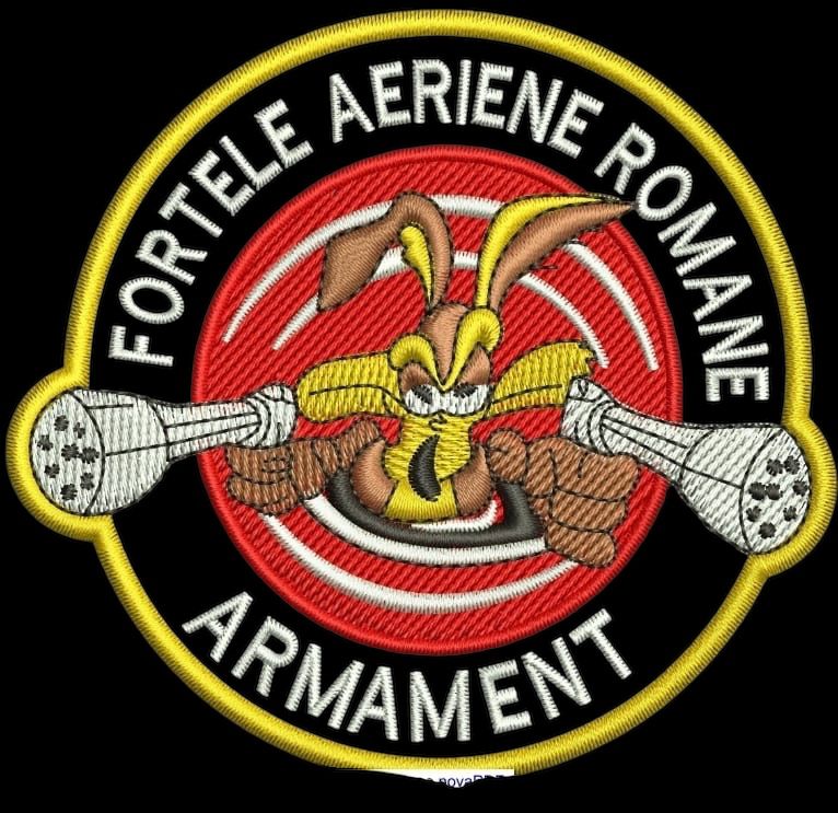 EMBLEMA ARMAMENT FORTELE AERIENE ROMANE – broderiemilitara
